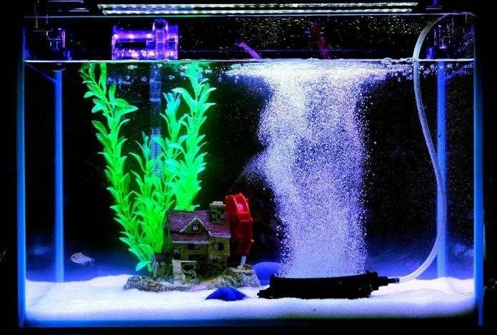 bulleur aquarium a quoi ça sert ? - Aquablog